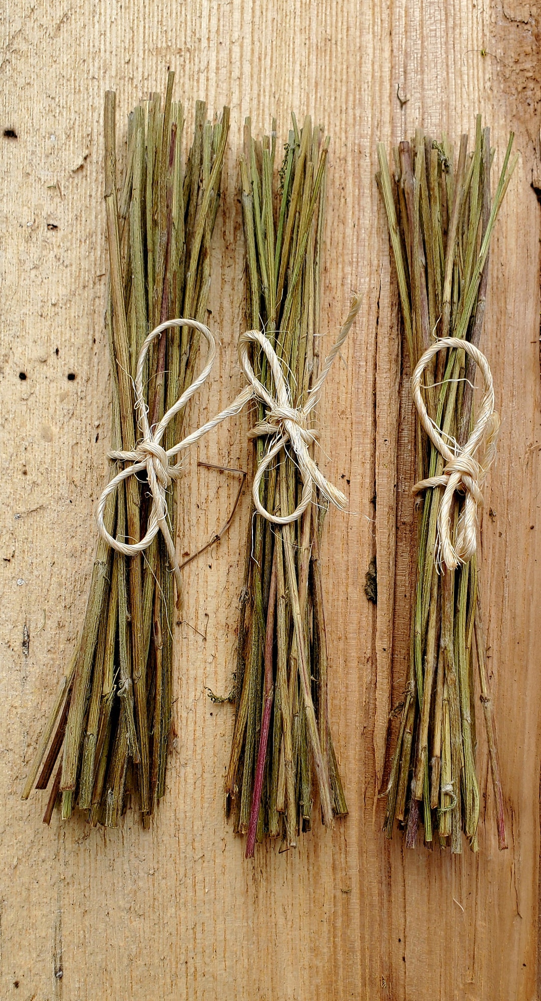I-ching Divination Wild-harvested Yarrow (achillea Millefolium) Stalks ...