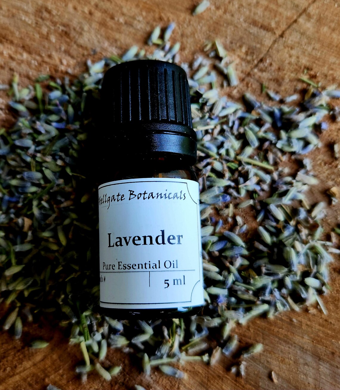 French Lavender (lavandula Dentata) Essential Oil - Etsy