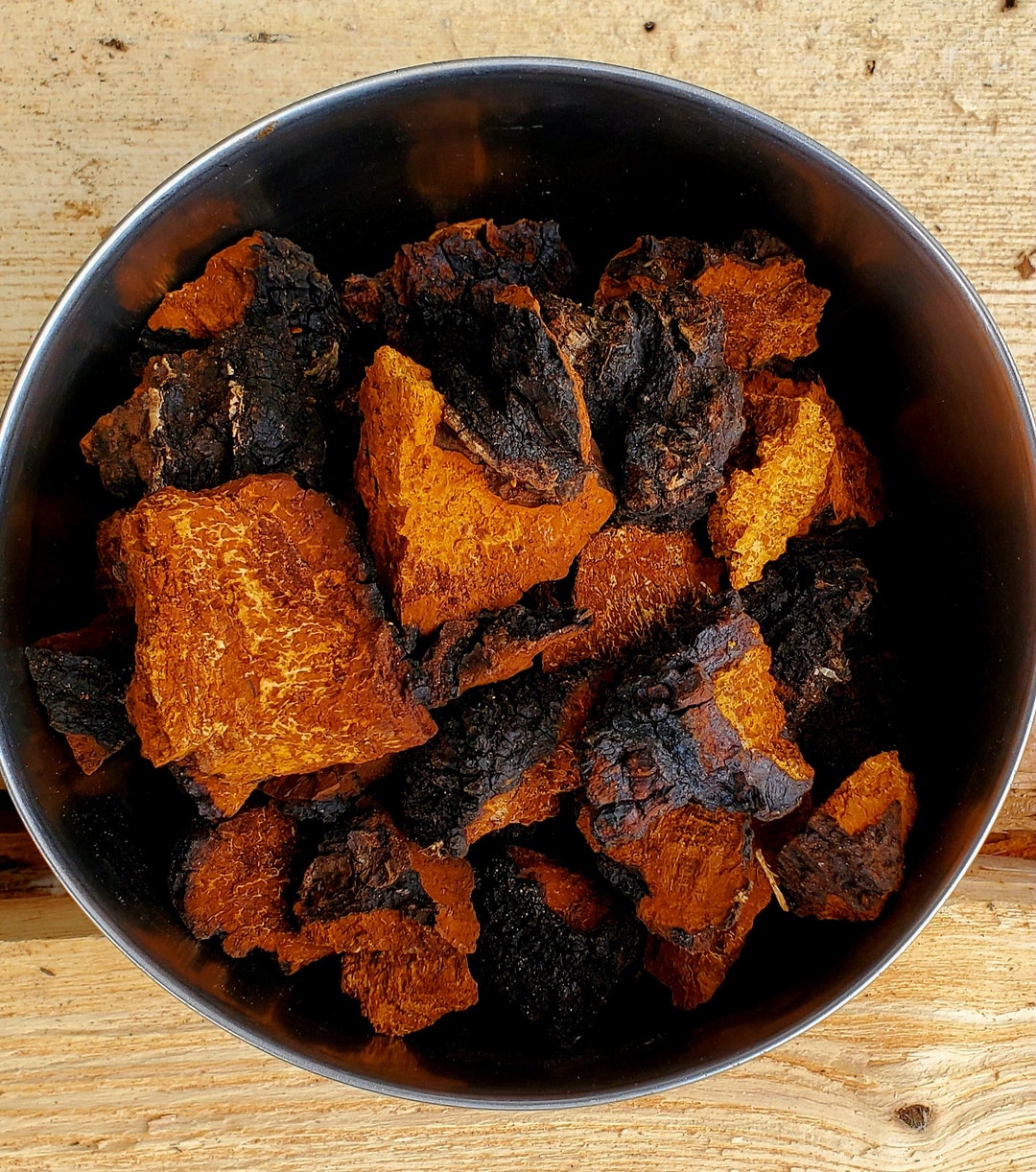 Chaga Chunks (inonotus Obliquus), 8 Oz Dried, Sustainably Harvested ...