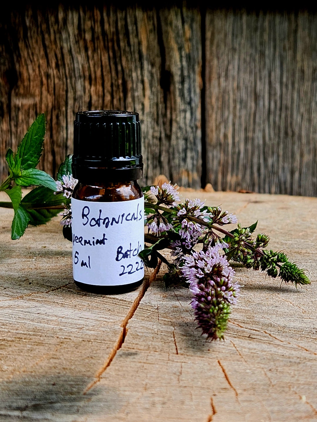 Peppermint (mentha × Piperita) Essential Oil, Small Batch Artisan ...