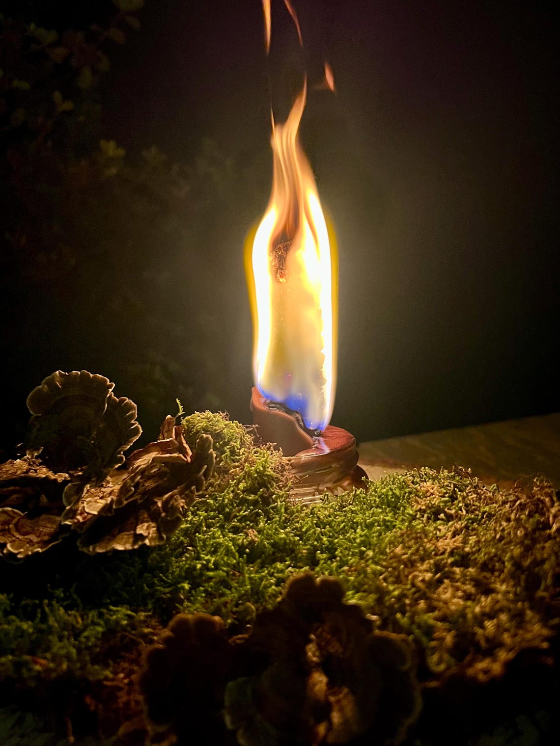 Mullein Torch Candle: Organic Soy Wax Hag's Taper - Etsy