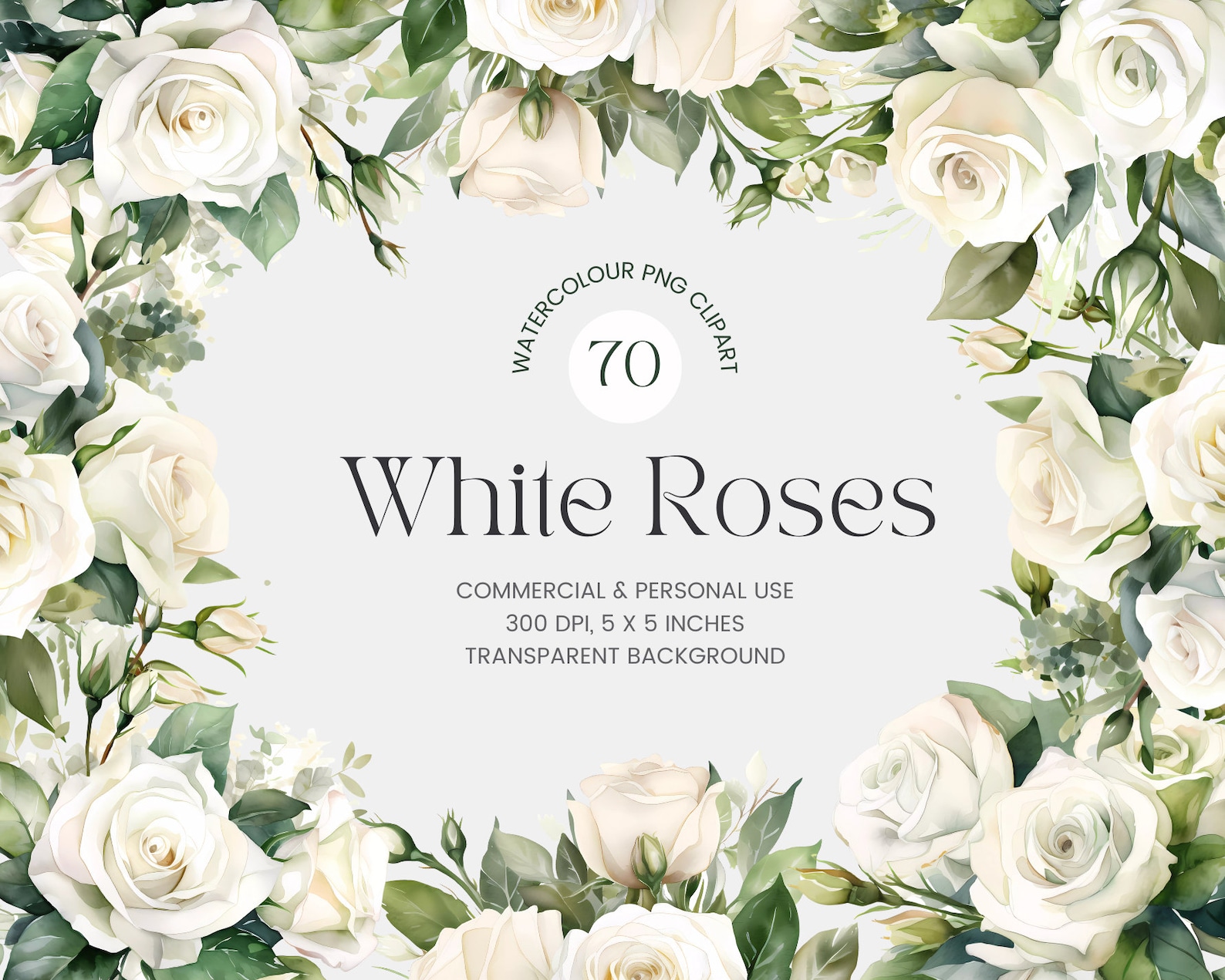 70 White Rose Floral Clipart - Watercolor Roses - Roses Clipart - White ...