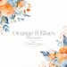 56 Orange and Blue Flowers PNG, Watercolor Floral Clipart Bouquets ...