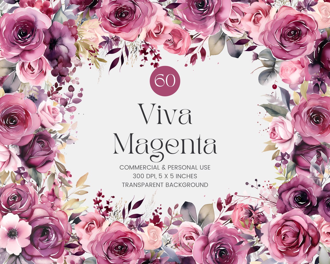 60 Magenta Purple Flowers PNG, Watercolor Floral Clipart Bouquets ...