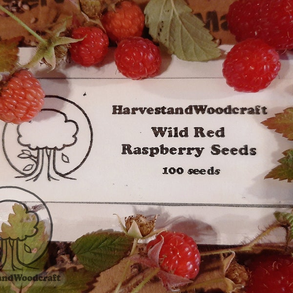 Raspberry Red - Etsy