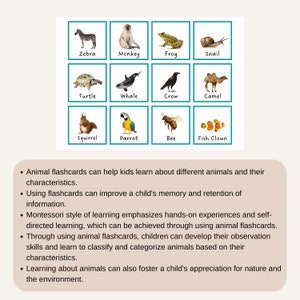 48 Farm Animals Cards, Montessori Flash Cards, Educational Printable ...