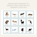 48 Farm Animals Cards, Montessori Flash Cards, Educational Printable ...