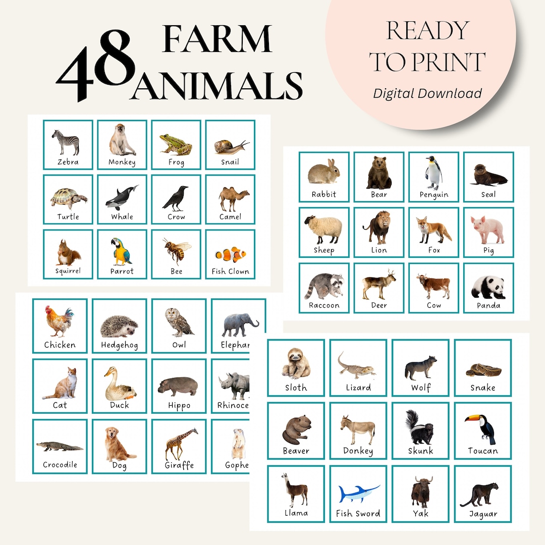 48 Farm Animals Cards, Montessori Flash Cards, Educational Printable ...