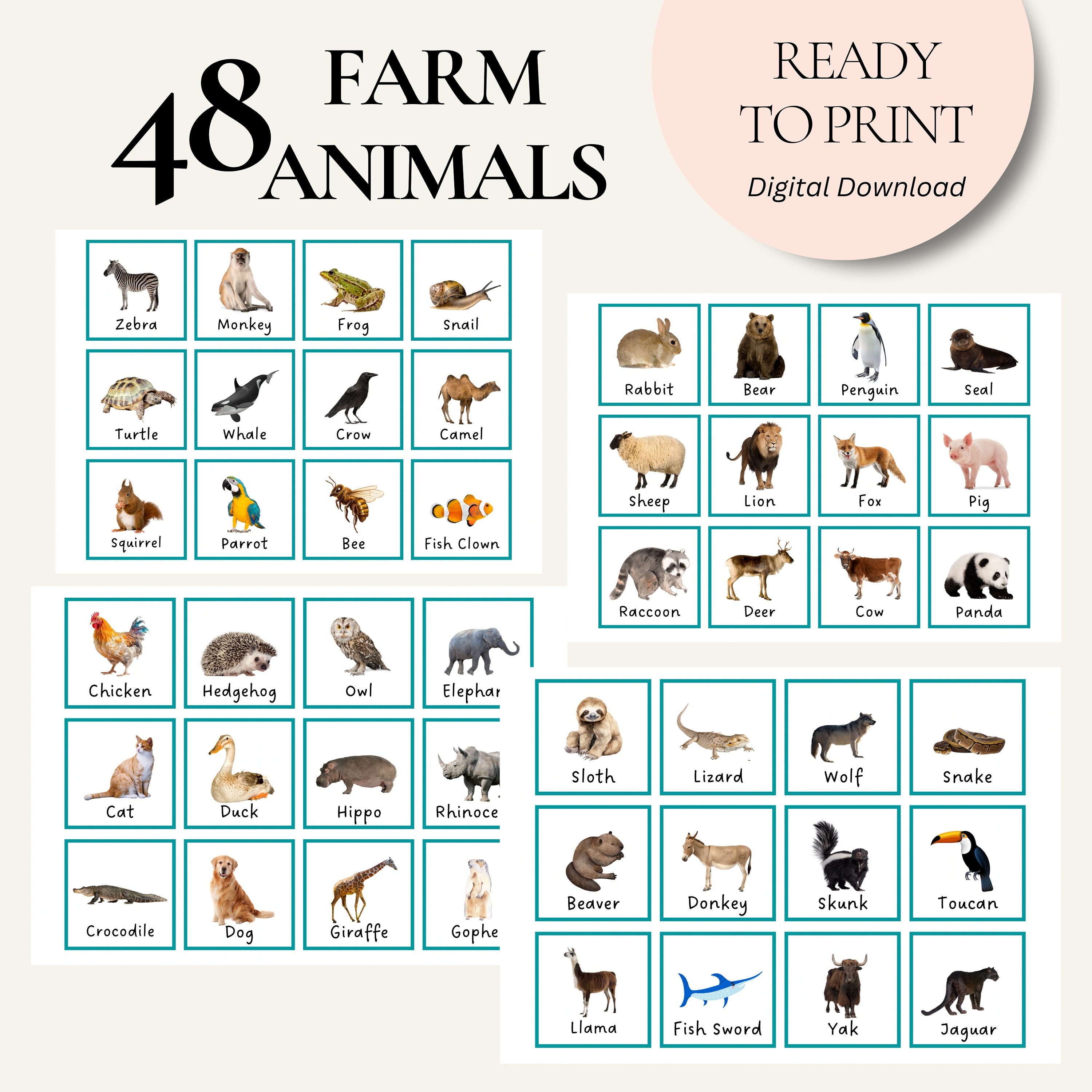 48 Farm Animals Cards, Montessori Flash Cards, Educational Printable ...