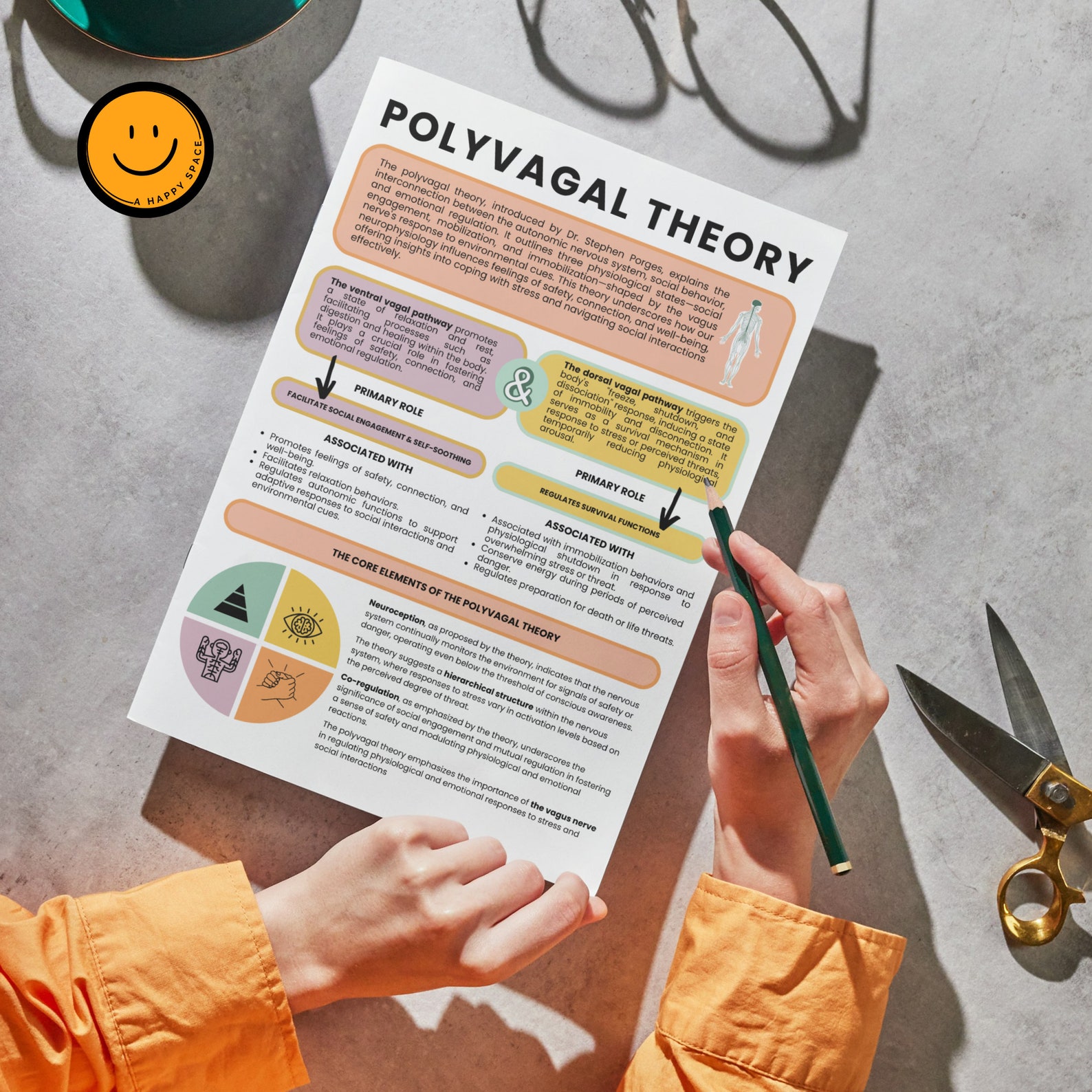 Polyvagal Theory Worksheets Cheatsheet Nervous System Regulation Vagus ...