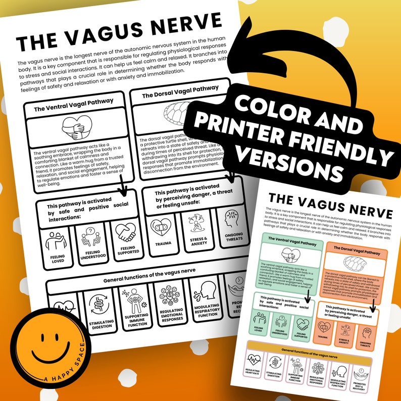 Polyvagal Theory Worksheets Cheatsheet Nervous System Regulation Vagus Nerve Somatic Therapy ...