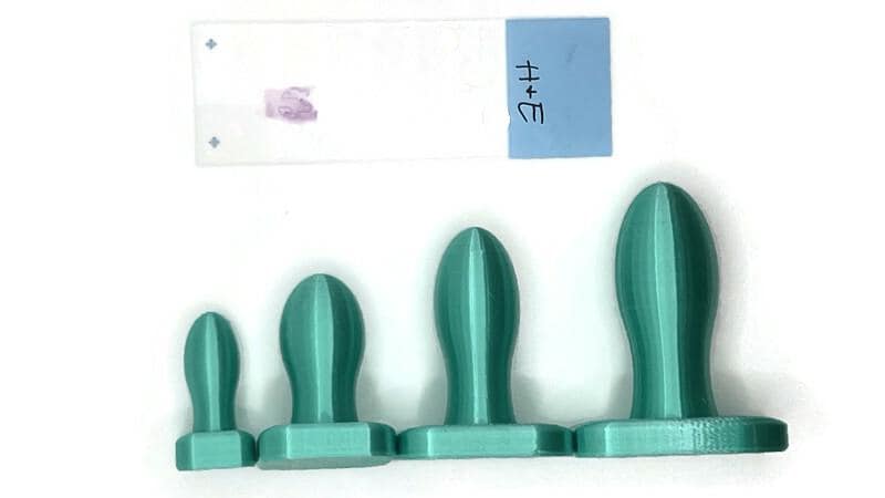 Complete 3D Printed Tissue Tamper Set (S, M, L, XL) | Histology ...