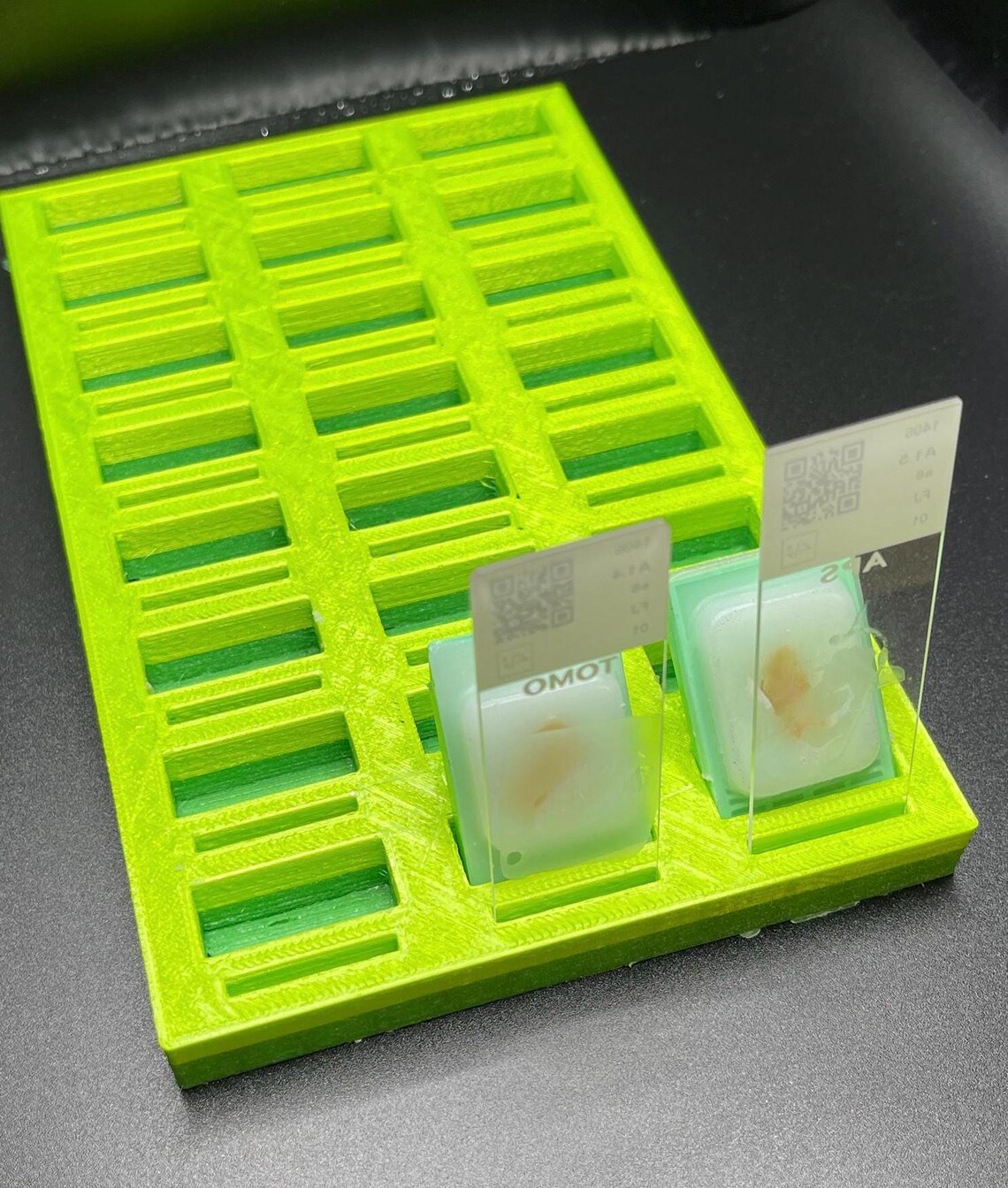 Histology QC Slide-to-block Matching Tray – 24-slot Holder for Gross ...