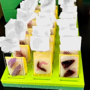 Histology QC Slide-to-block Matching Tray – 24-slot Holder for Gross ...