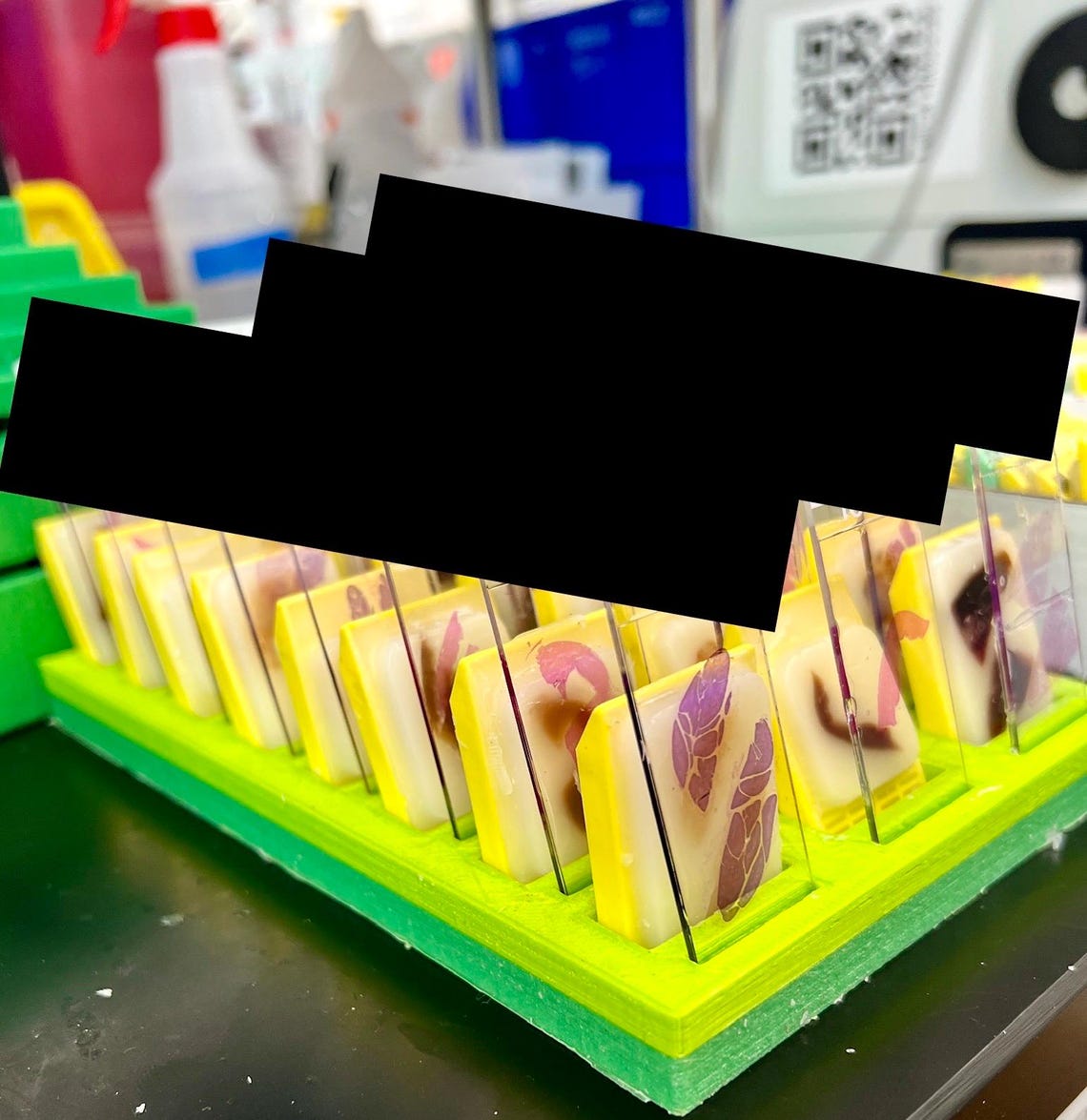 Histology QC Slide-to-block Matching Tray – 24-slot Holder for Gross ...