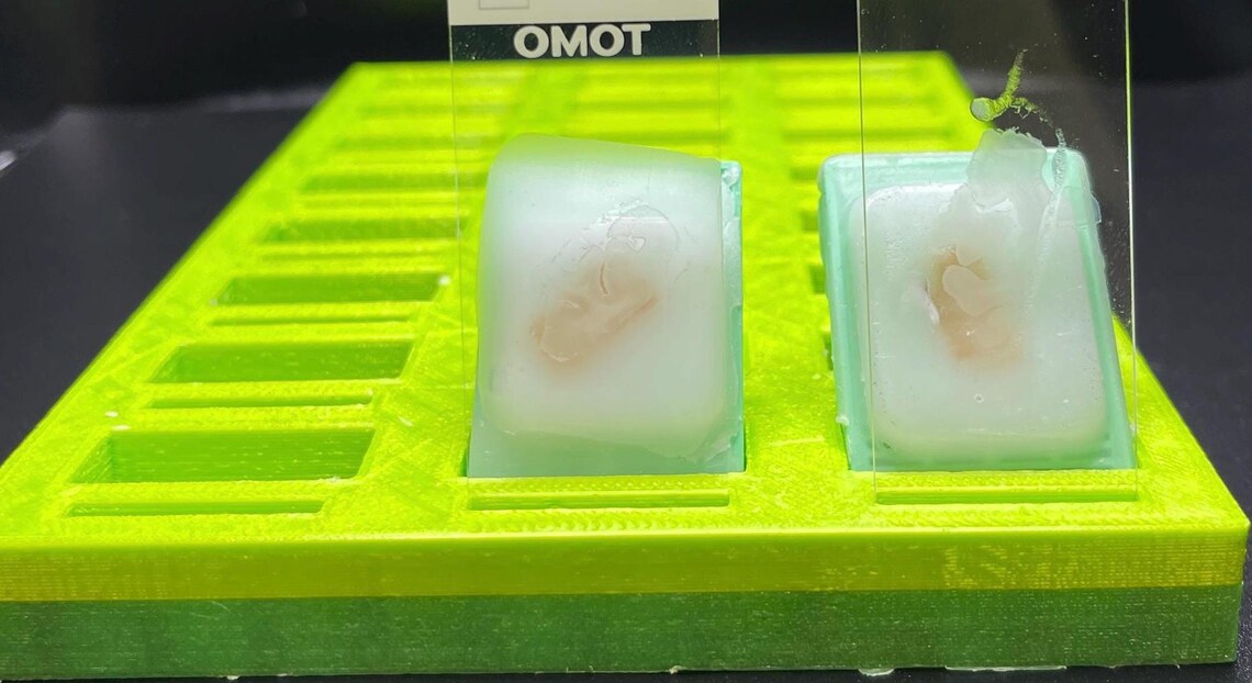 Histology QC Slide-to-block Matching Tray – 24-slot Holder for Gross ...