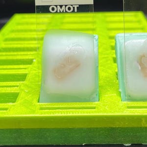 Histology QC Slide-to-block Matching Tray – 24-slot Holder for Gross ...