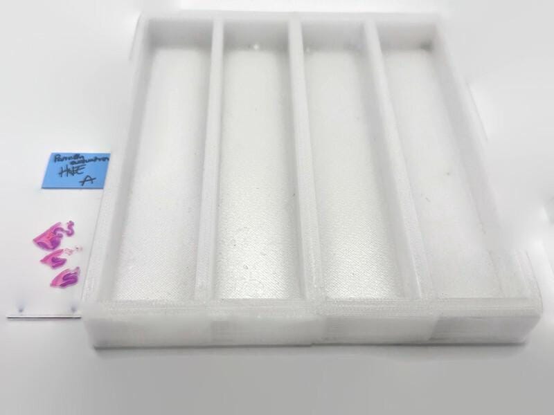 Histology Tissue Cassette Holder – 4-lane Tray - Etsy