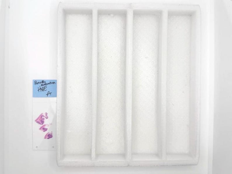 Histology Tissue Cassette Holder – 4-lane Tray - Etsy