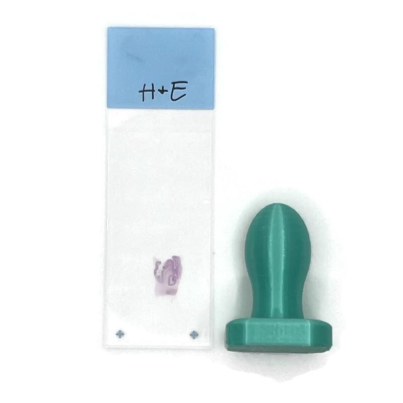 Medium 3D Printed Tissue Tamper | Histotech Supplies for Consistent ...