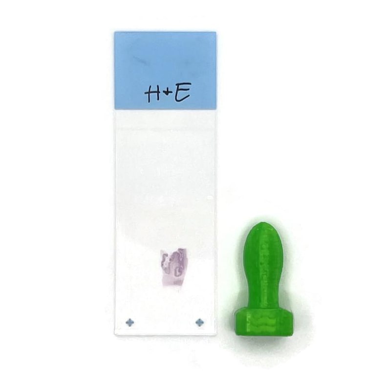 Small 3D Printed Tissue Tamper | Precision Histology Embedding Tool - Etsy