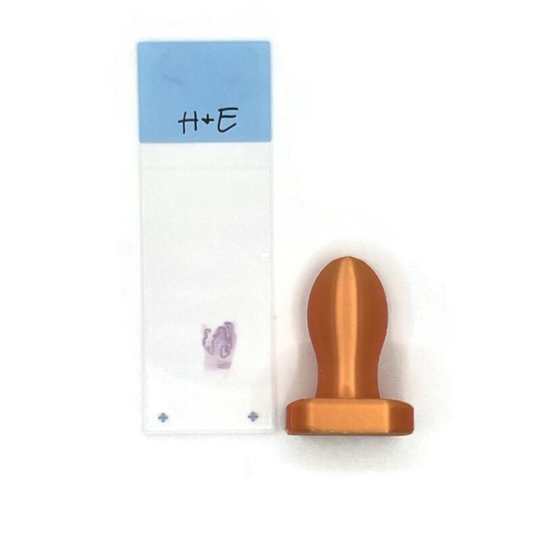 Medium 3D Printed Tissue Tamper | Histotech Supplies for Consistent ...