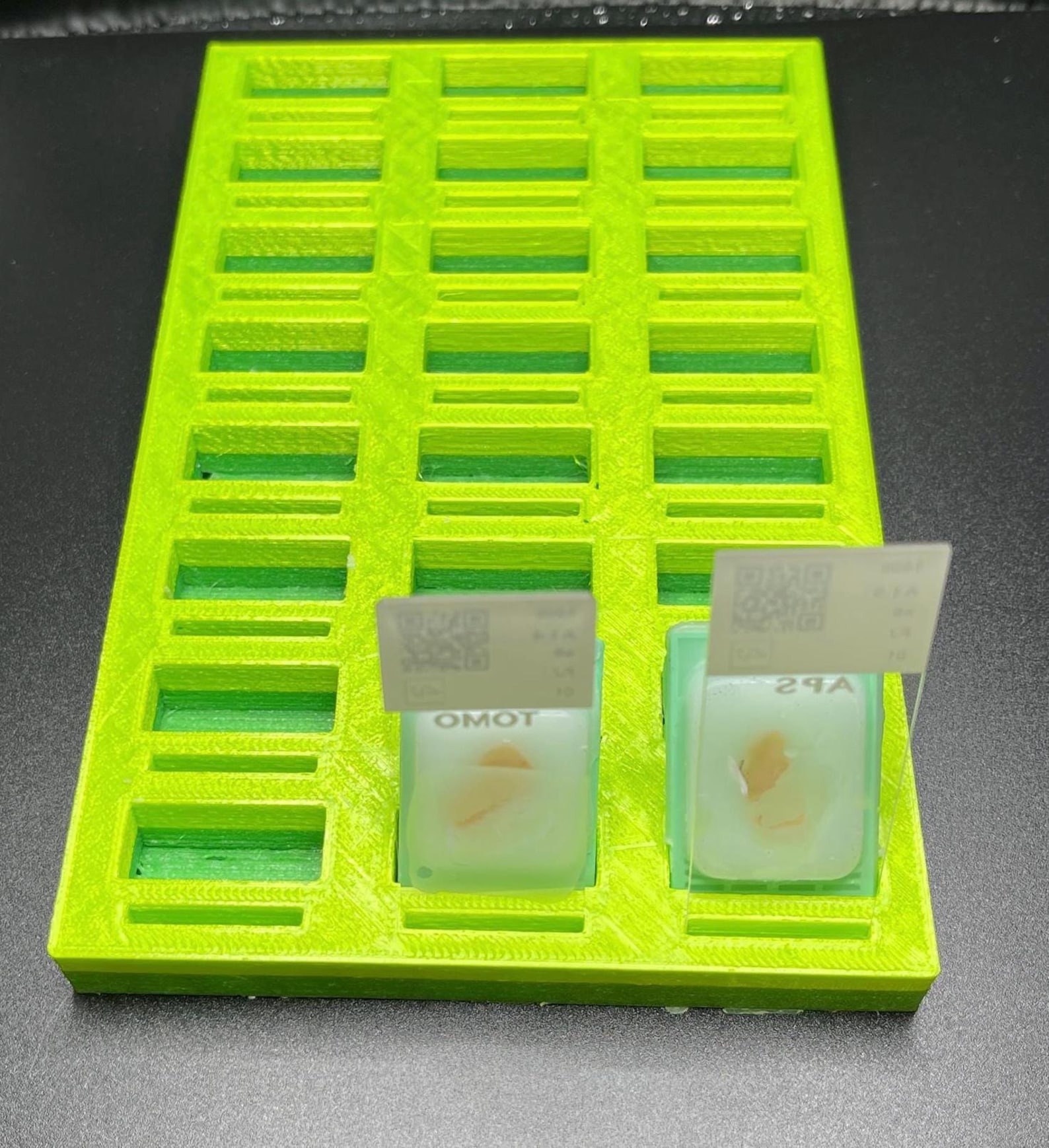 Histology QC Slide-to-block Matching Tray – 24-slot Holder for Gross ...