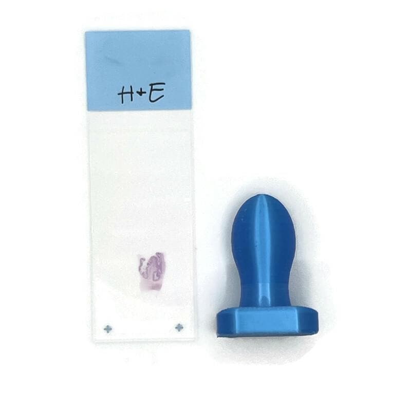 Medium 3D Printed Tissue Tamper | Histotech Supplies for Consistent ...