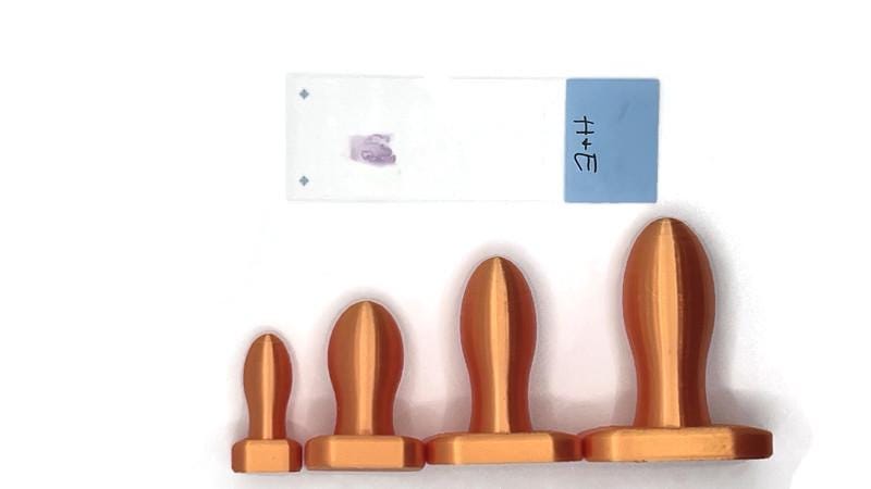 Complete 3D Printed Tissue Tamper Set (S, M, L, XL) | Histology ...