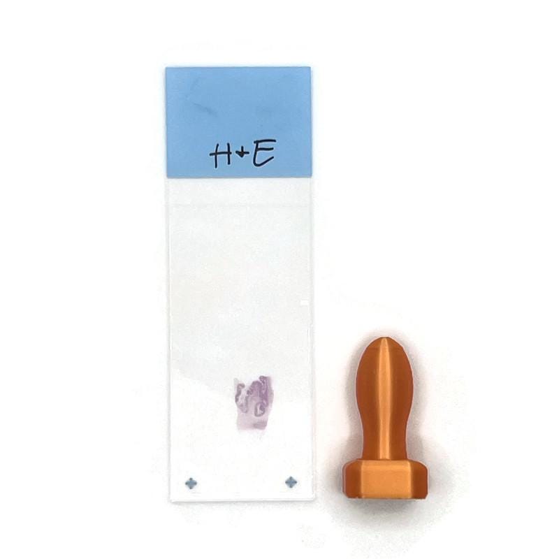 Small 3D Printed Tissue Tamper | Precision Histology Embedding Tool - Etsy
