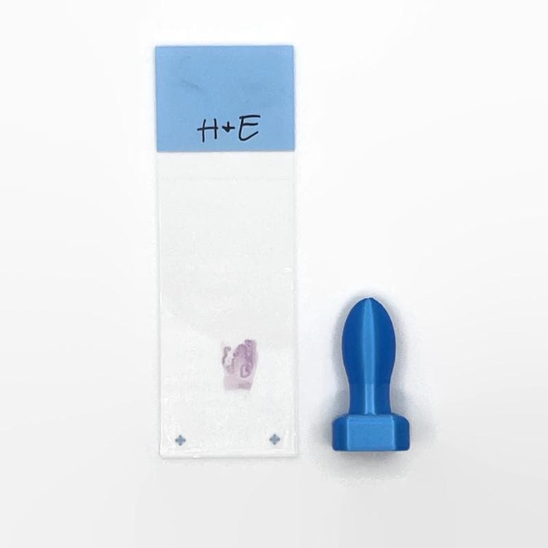 Small 3D Printed Tissue Tamper | Precision Histology Embedding Tool - Etsy