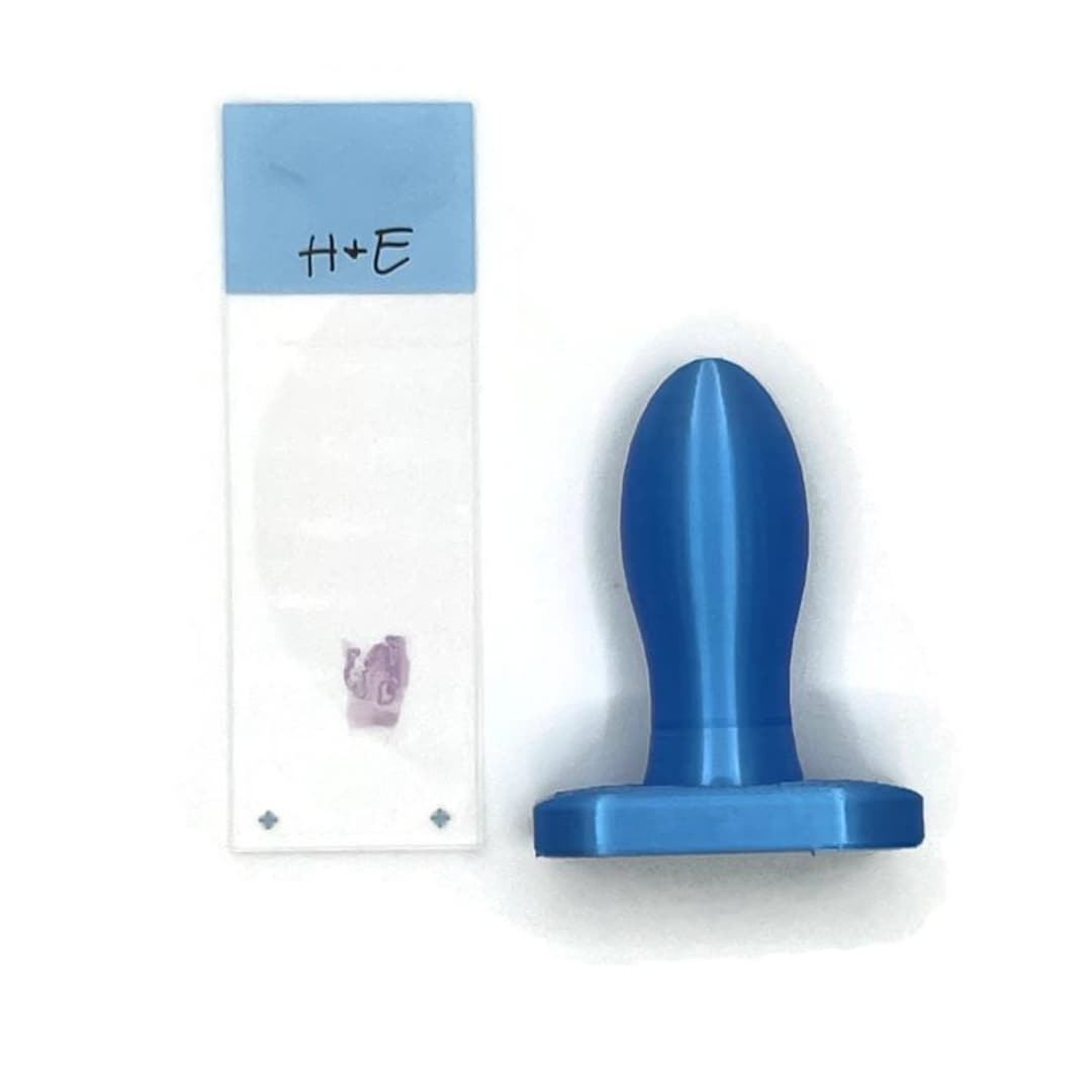 XL 3D Printed Tissue Tamper | Ultimate Histology Tool for Oversized ...