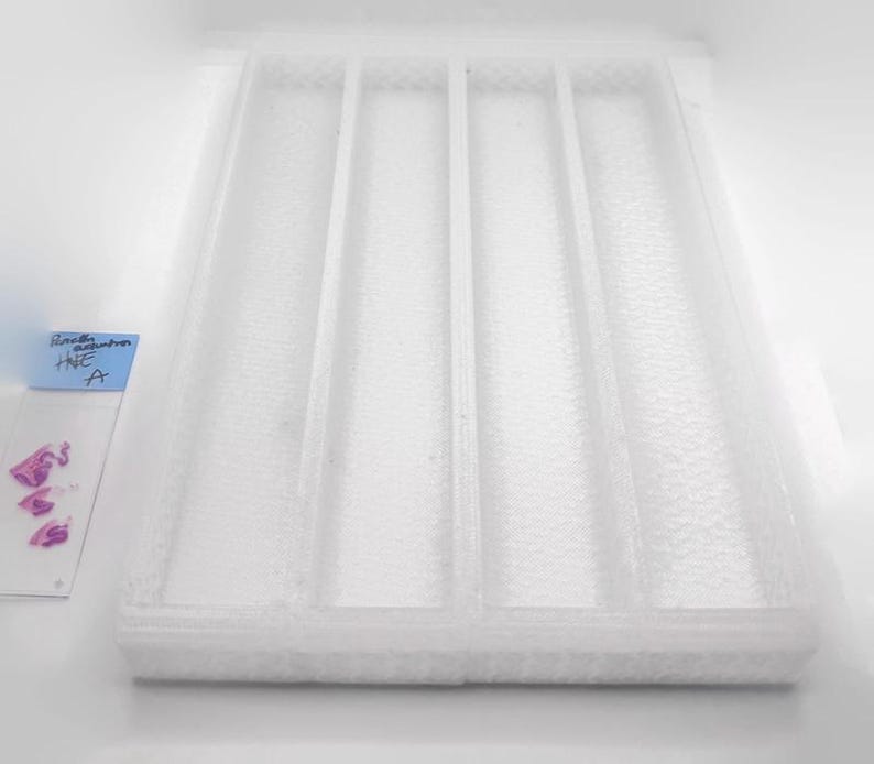 Histology Tissue Cassette Holder – 4-lane Tray - Etsy