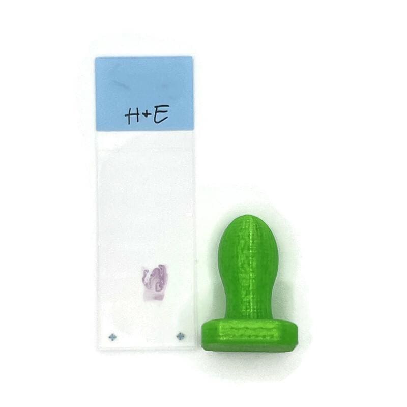 Medium 3D Printed Tissue Tamper | Histotech Supplies for Consistent ...