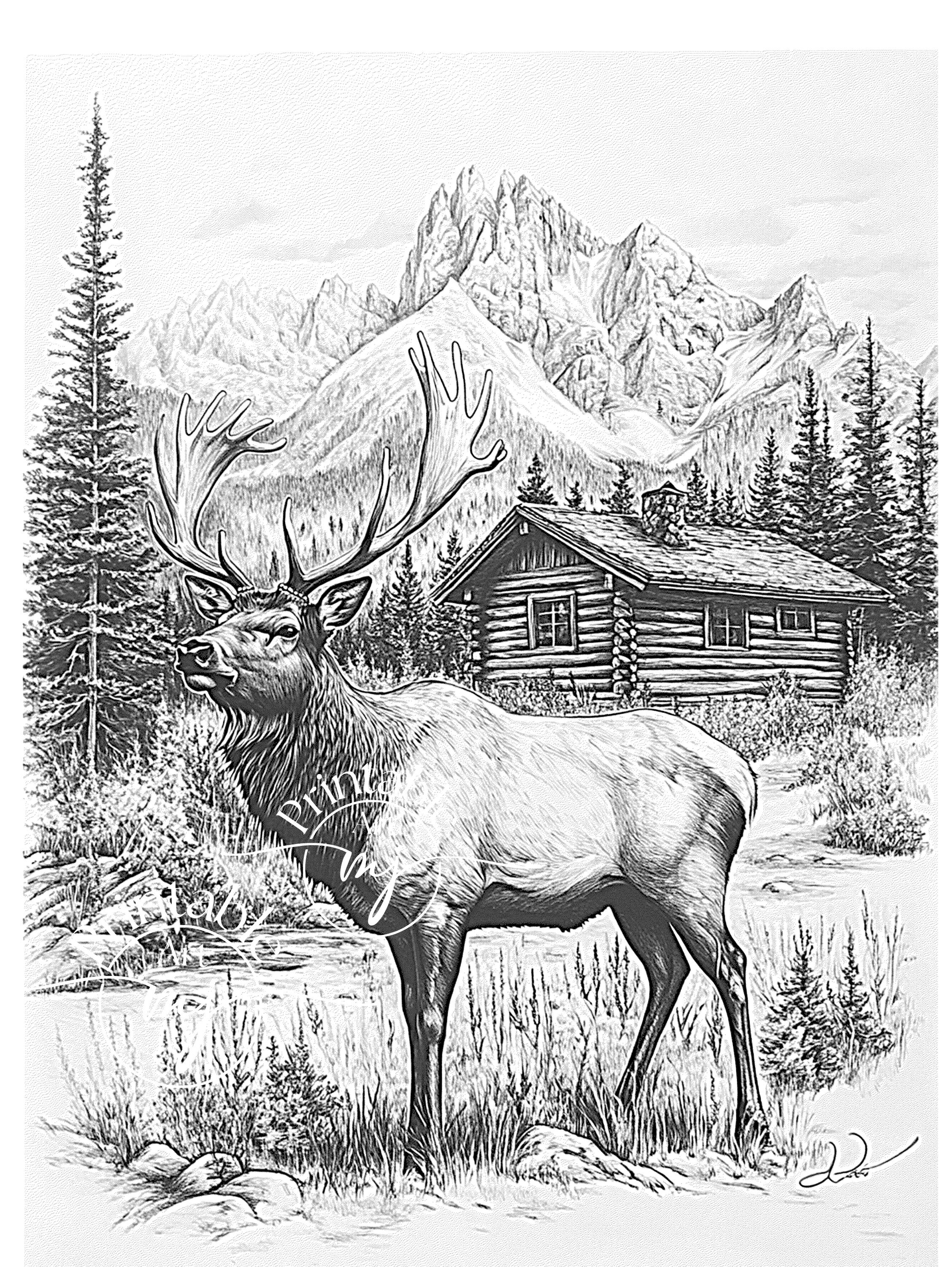 Elk Laser Engraving PNG: Hunting Cabin Decor, Wildlife Art (digital ...