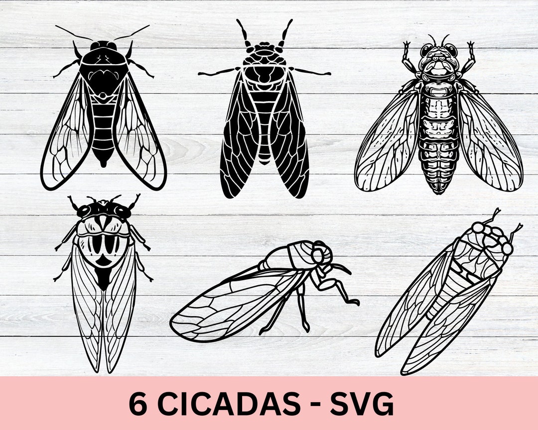 Cicada SVG Bundle: Insect Lover Tee Design (digital Download) - Etsy