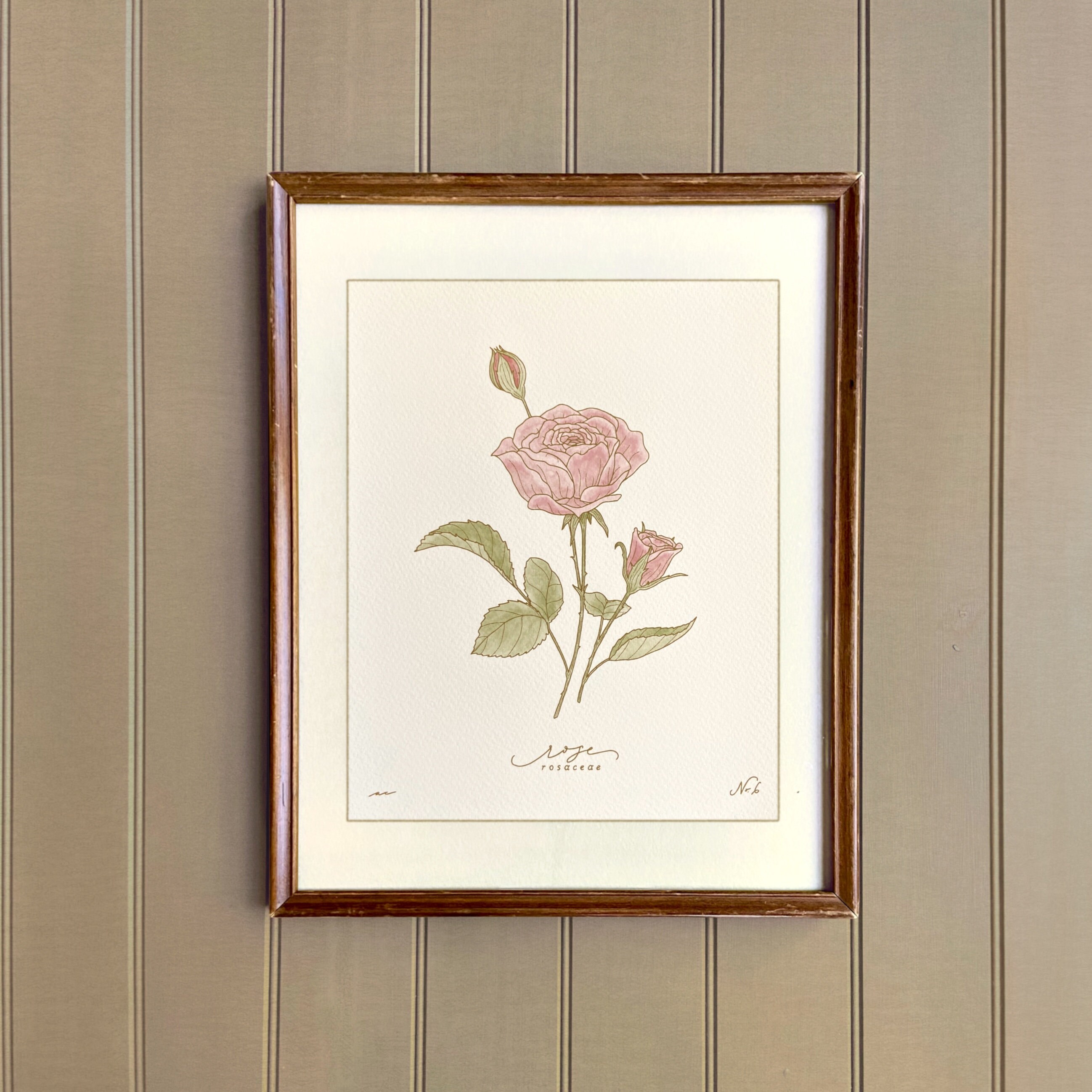 JUNE Birth Flower, ROSE, Hand-drawn Botanical Art Print - Etsy