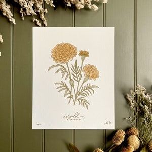 MARIGOLD, Hand-drawn Botanical Art Print, OCTOBER Birth Flower - Etsy