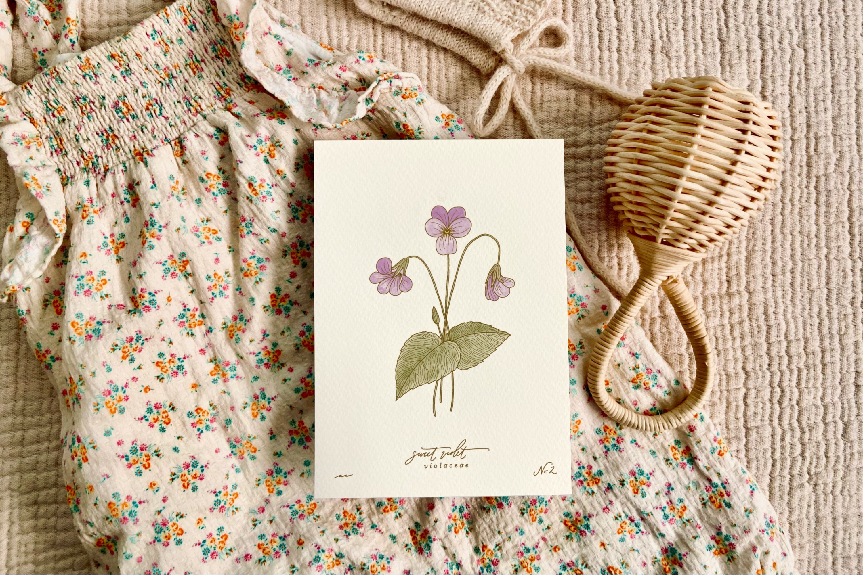 VIOLET, Hand-drawn Botanical Art Print, FEBRUARY Birth Flower - Etsy