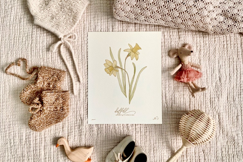 Birth Flower Art Print MARCH | Hand Drawn DAFFODIL | Heirloom Nursery ...