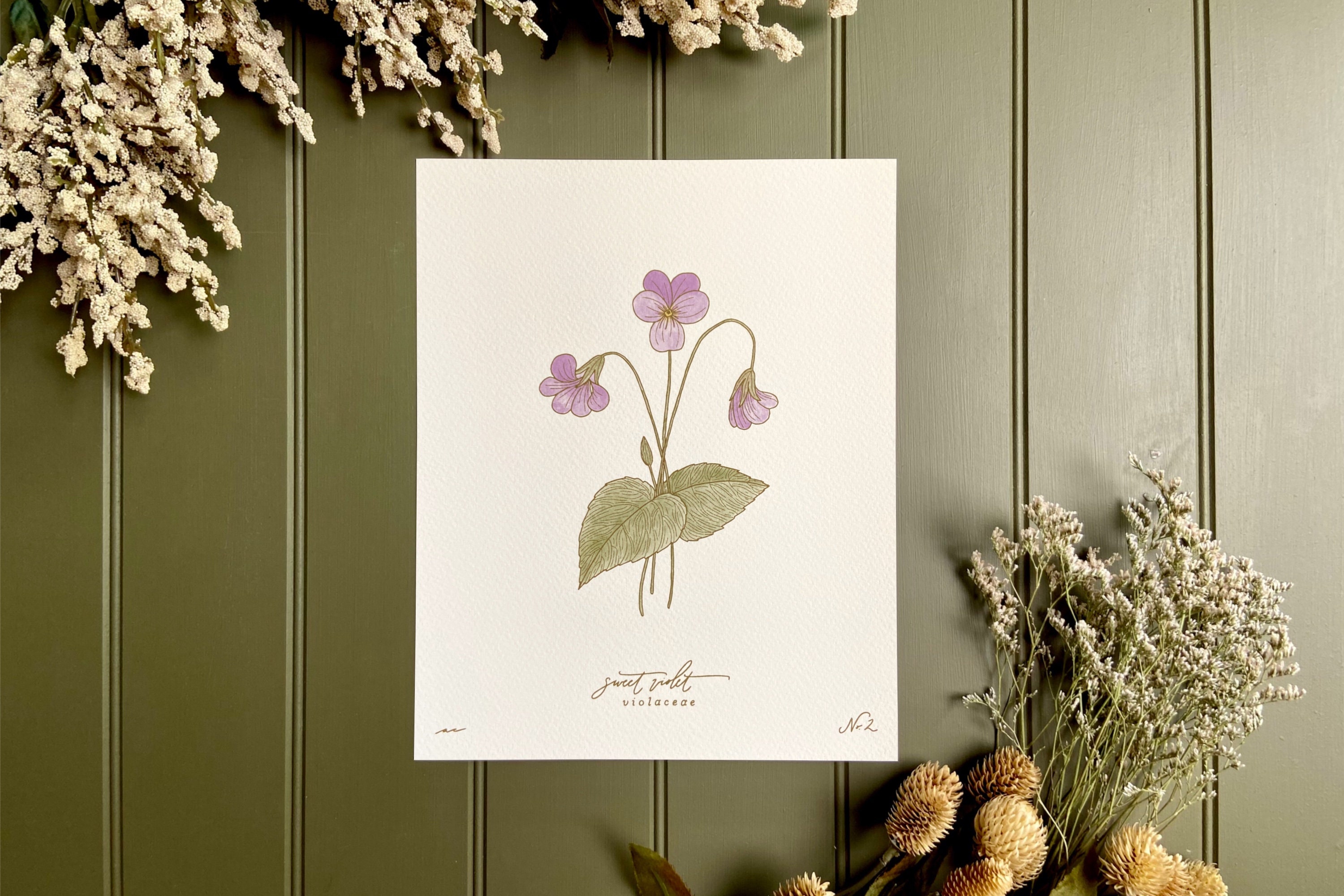 VIOLET, Hand-drawn Botanical Art Print, FEBRUARY Birth Flower - Etsy