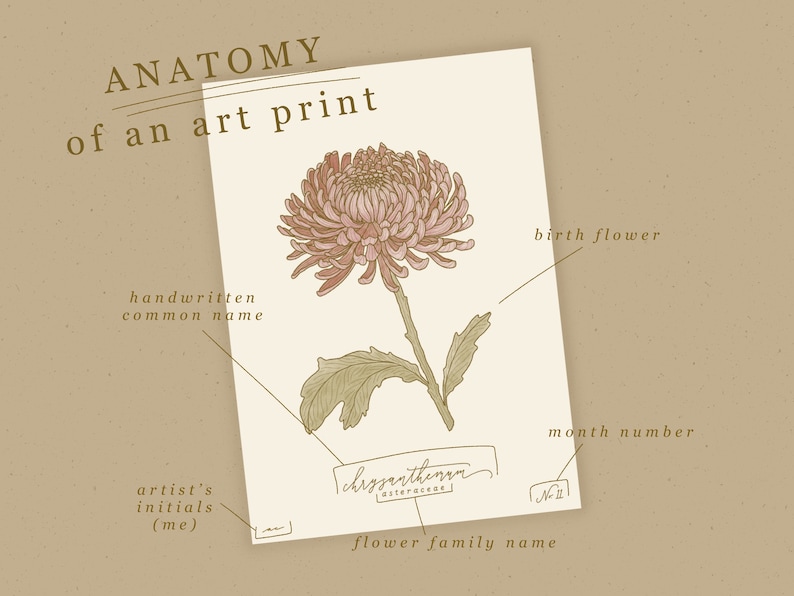 Birth Flower Art Print MARCH | Hand Drawn DAFFODIL | Heirloom Nursery ...