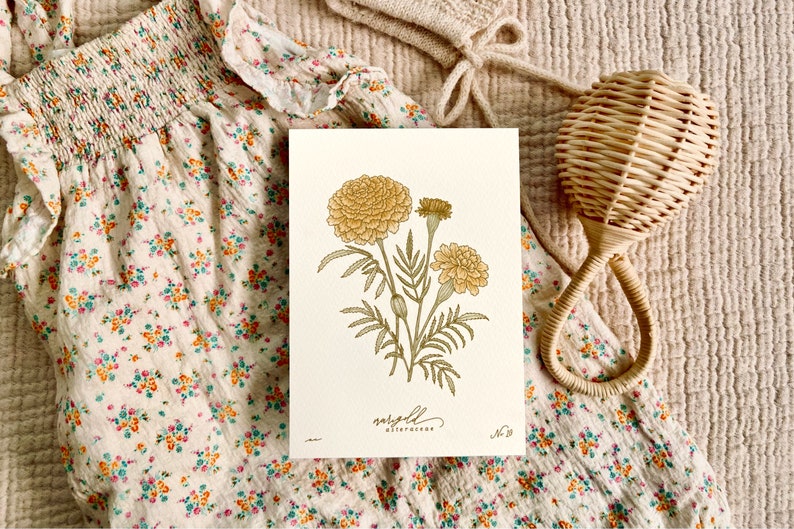 MARIGOLD, Hand-drawn Botanical Art Print, OCTOBER Birth Flower - Etsy