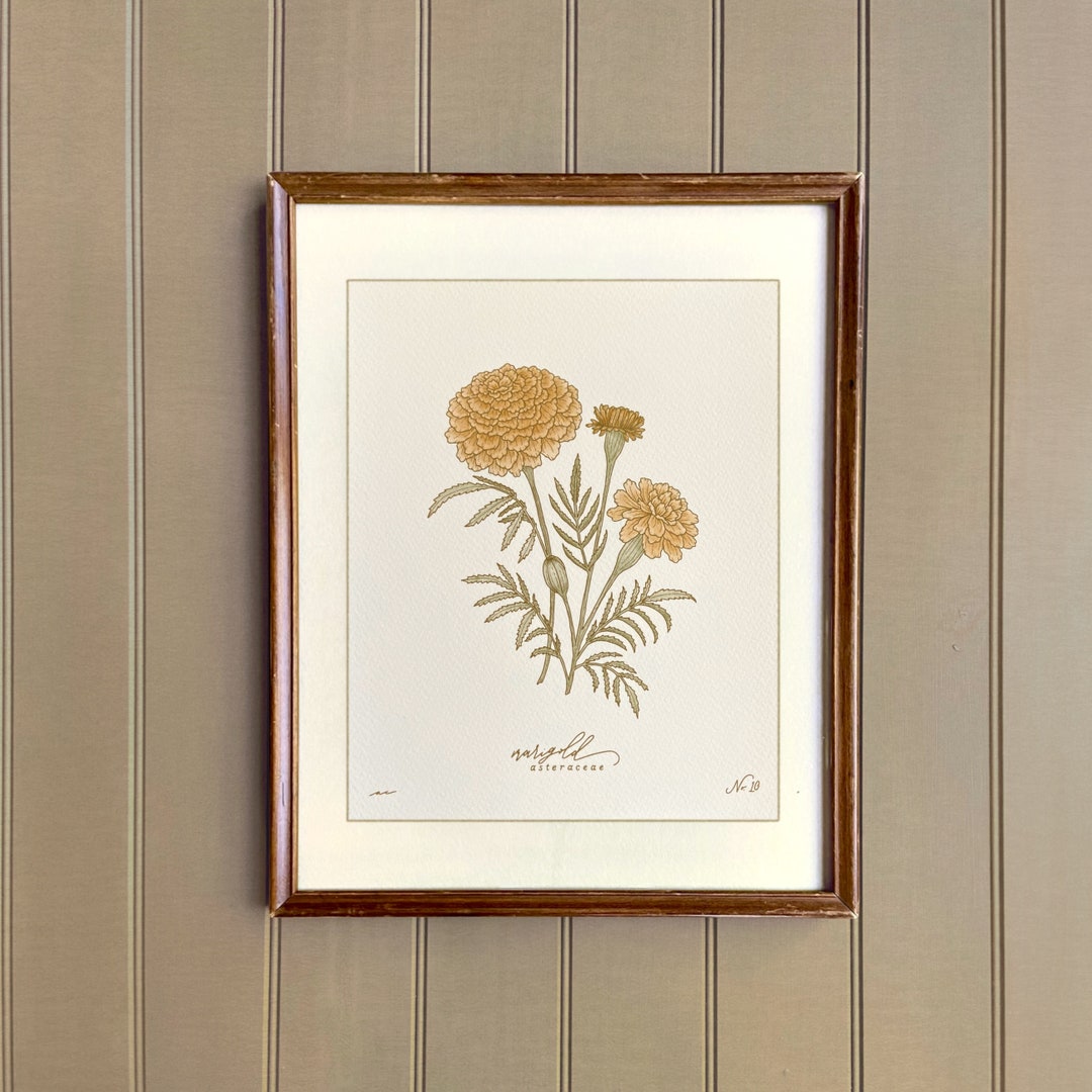 MARIGOLD Birth Month Flower Print | OCTOBER Birthday Gift | Heirloom ...