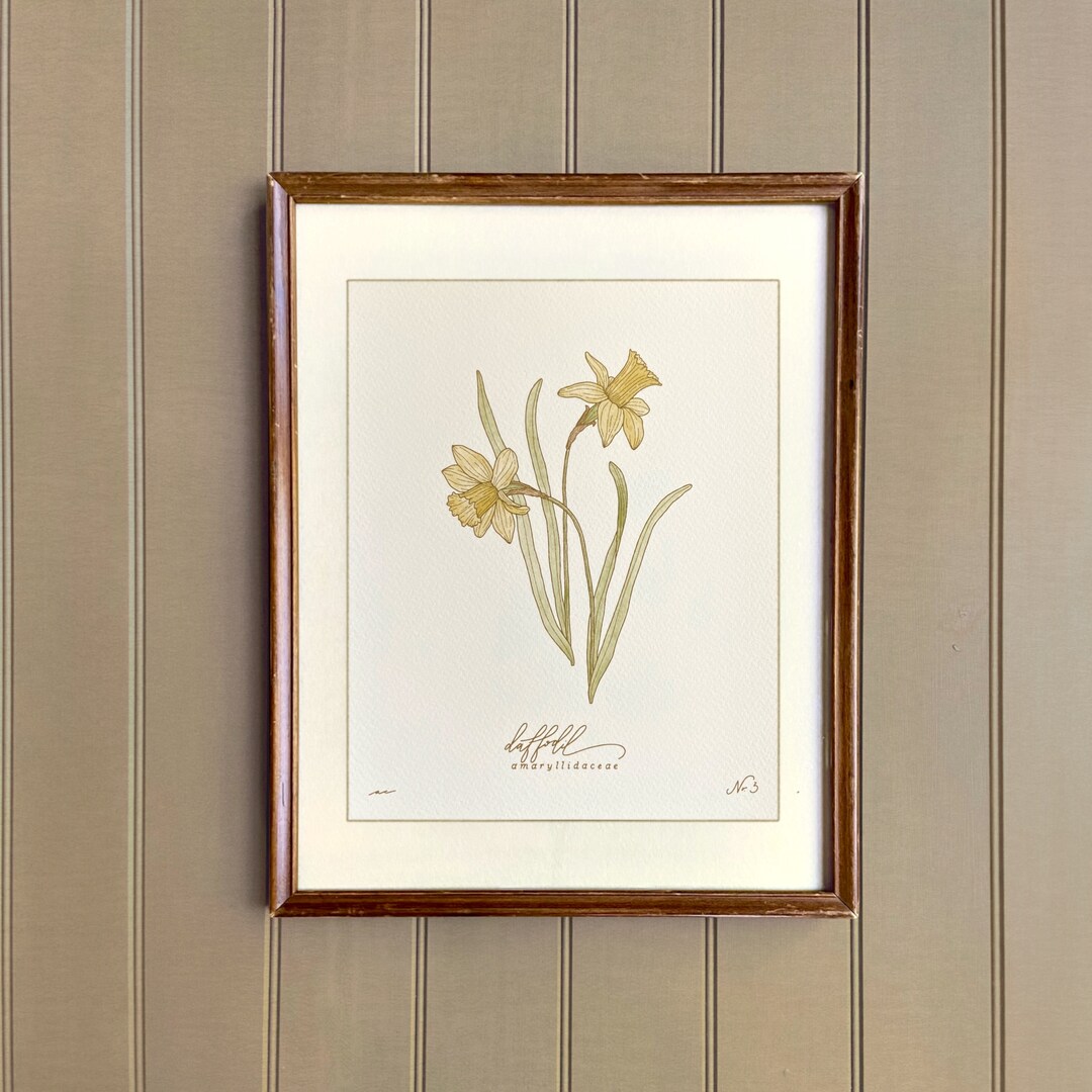 Birth Flower Art Print MARCH | Hand Drawn DAFFODIL | Heirloom Nursery ...