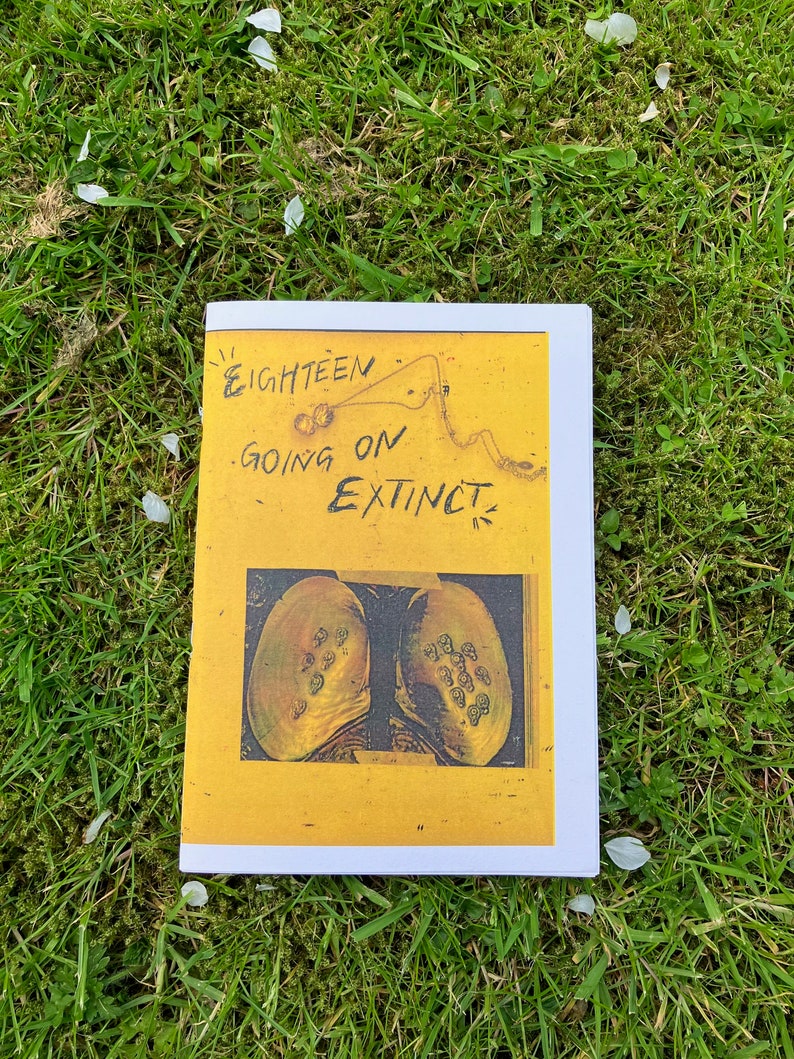 18 Going on Extinct Zine Issue #1 - Etsy