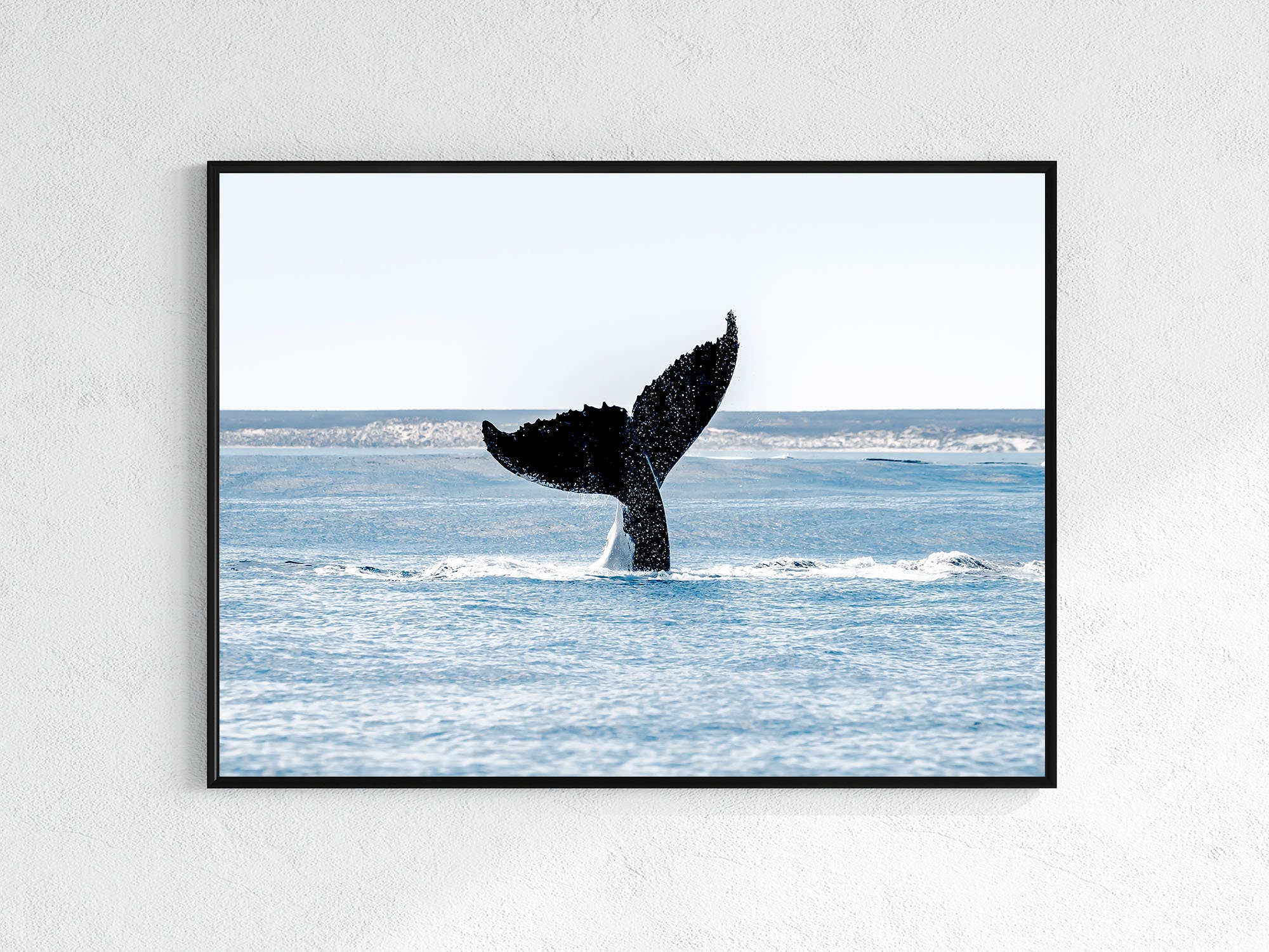Whale Tail Ocean Wall Art, Australian Wildlife Photography Print Oc114a ...