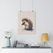 Baby Hedgehog Portrait Museum-quality Giclée Art Print - Etsy