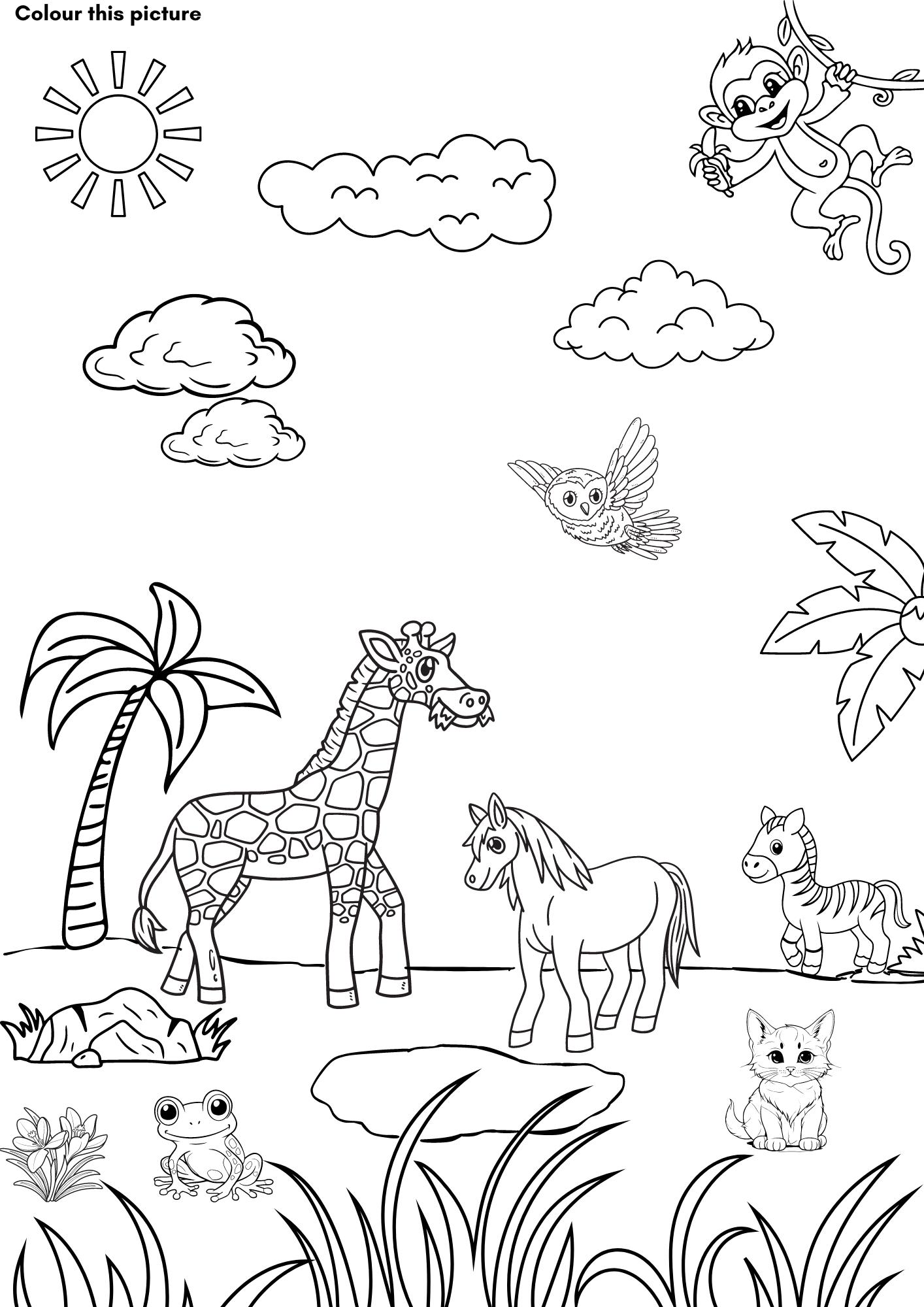 Animal Alphabet Colouring Pages - Etsy