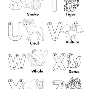 Animal Alphabet Colouring Pages - Etsy